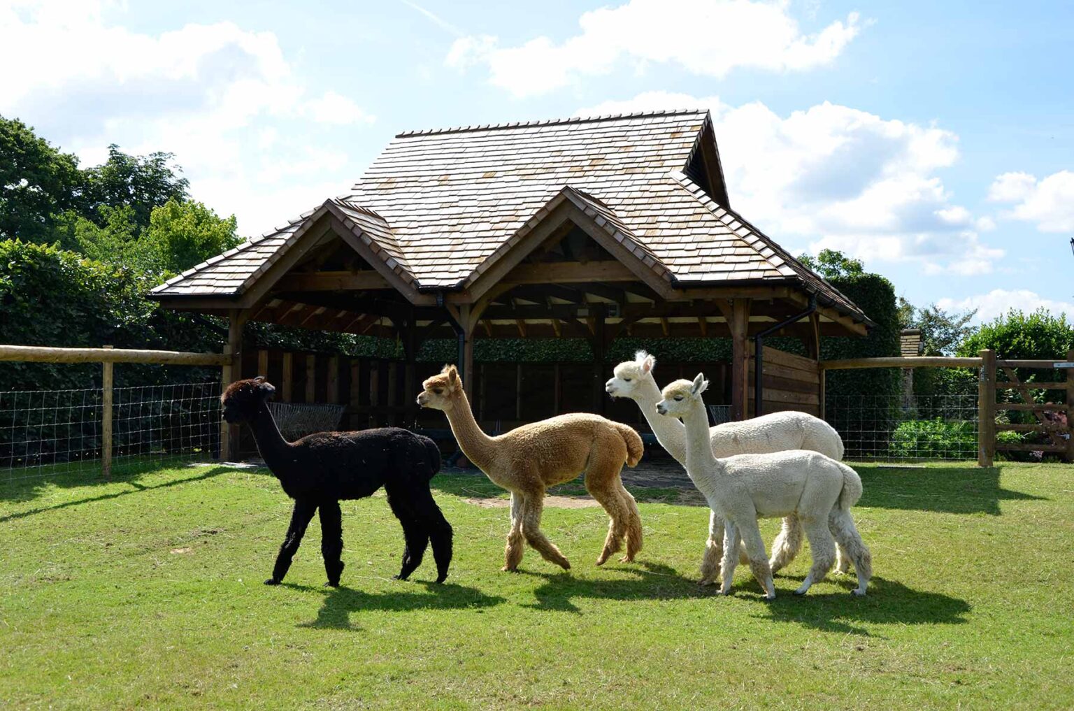 Accommodation - British Alpaca Society