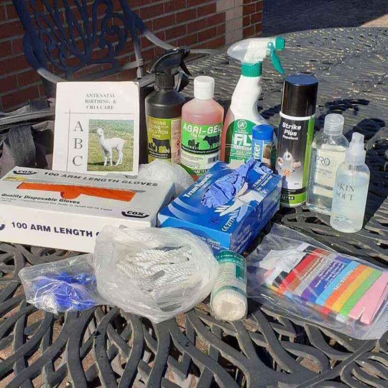 Care of the newborn - British Alpaca Society